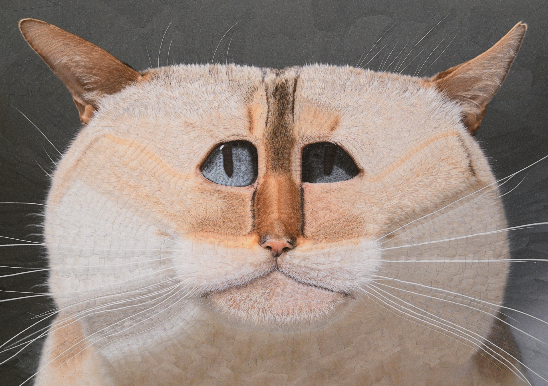 Artist Lola Dupre Creates Beautiful Antropomorphic Felines » Design You ...