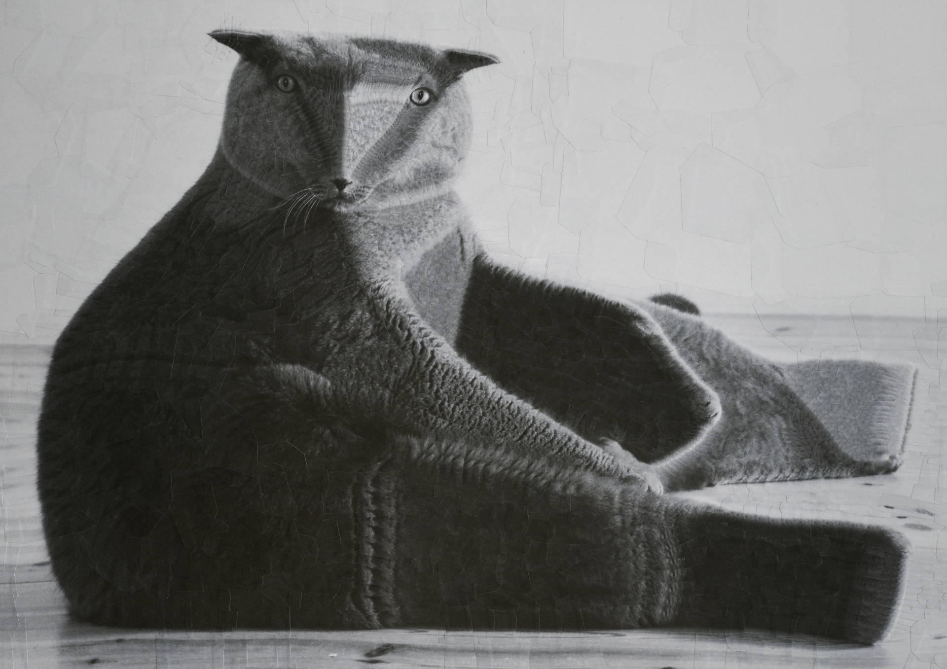 Artist Lola Dupre Creates Beautiful Antropomorphic Felines » Design You ...