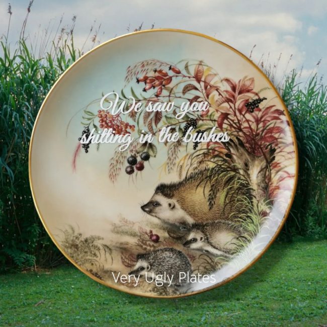 An Artist Makes ‘Very Ugly Plates’ With Hilarious And Raunchy Designs ...