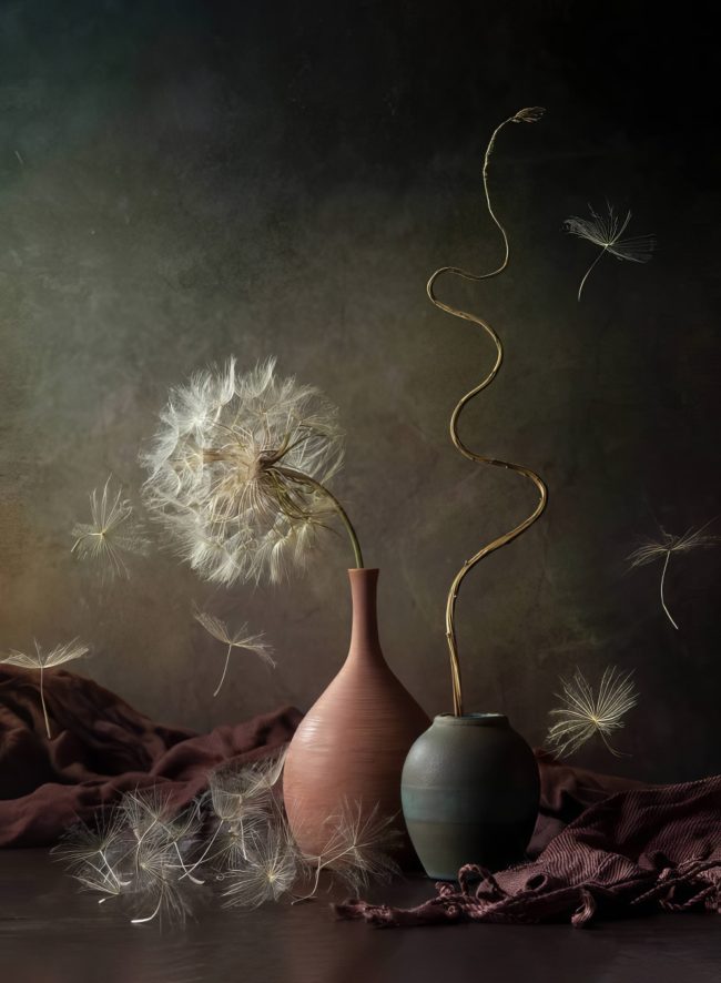 Spectacular Still Life-Winning Photos From The 35 Photography Awards ...