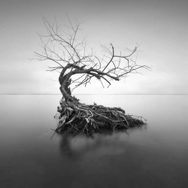 Spectacular Landscape Winning Images From The 2024 Minimalist ...