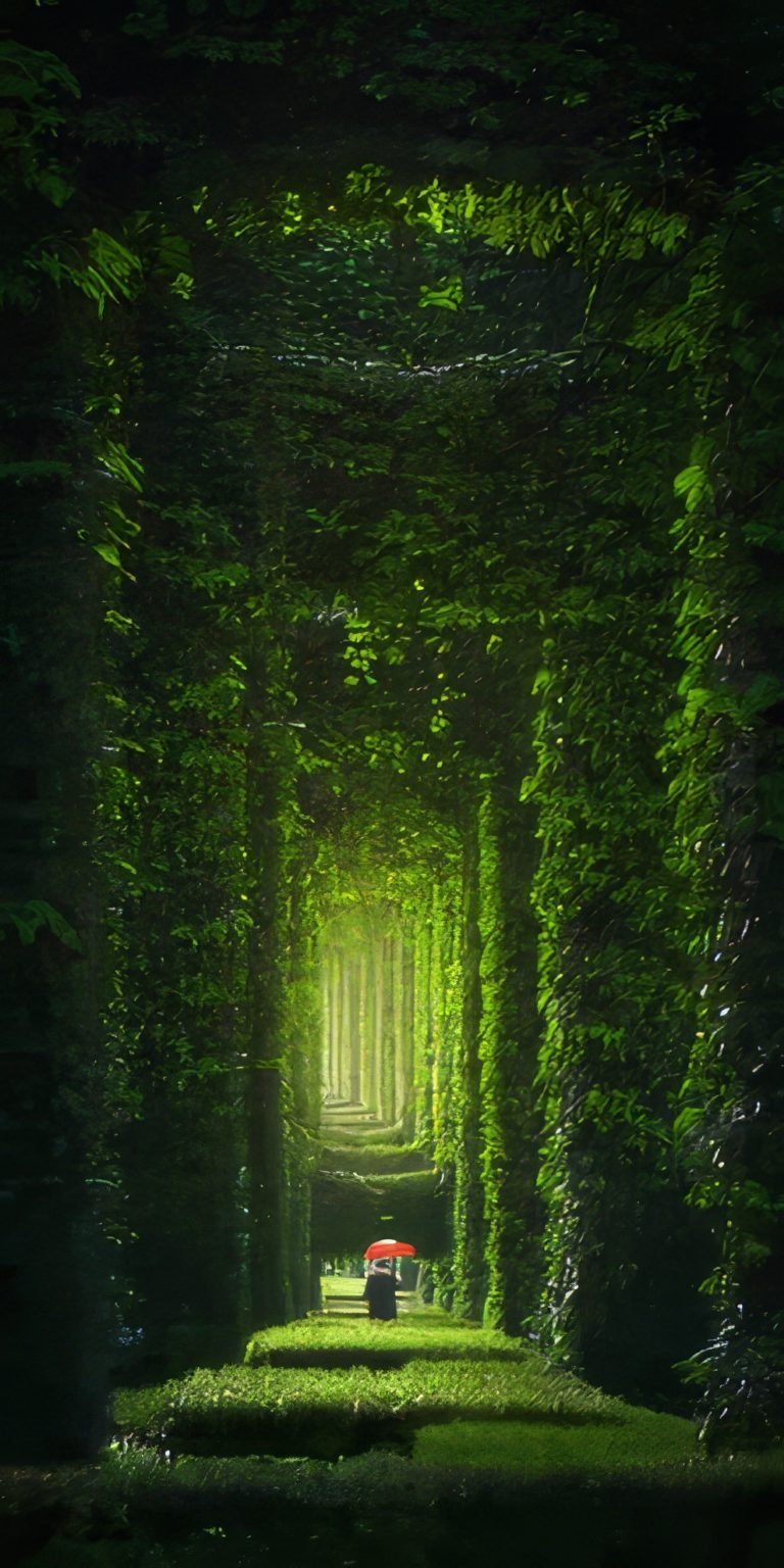 Beautiful Winners of the 2024 Epson International Panorama Photo Awards ...