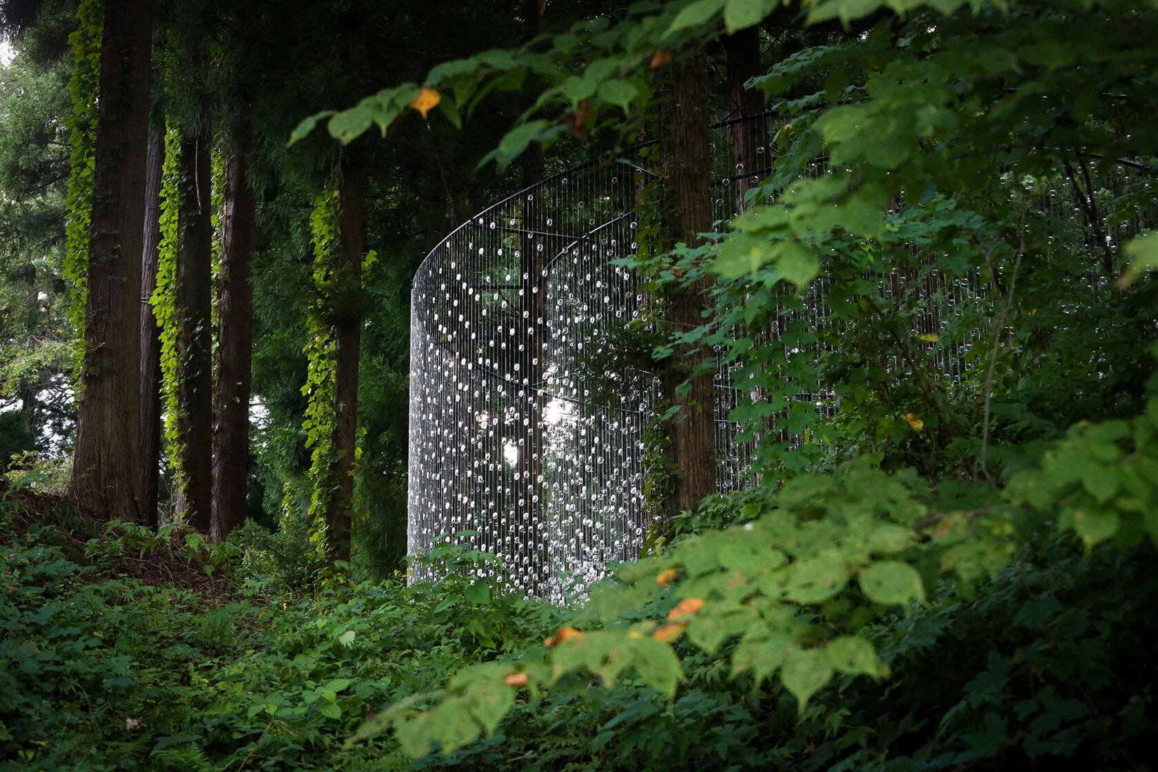 A Whisper in the Eye of the Storm: Artist Duo Creates An Immersive ...