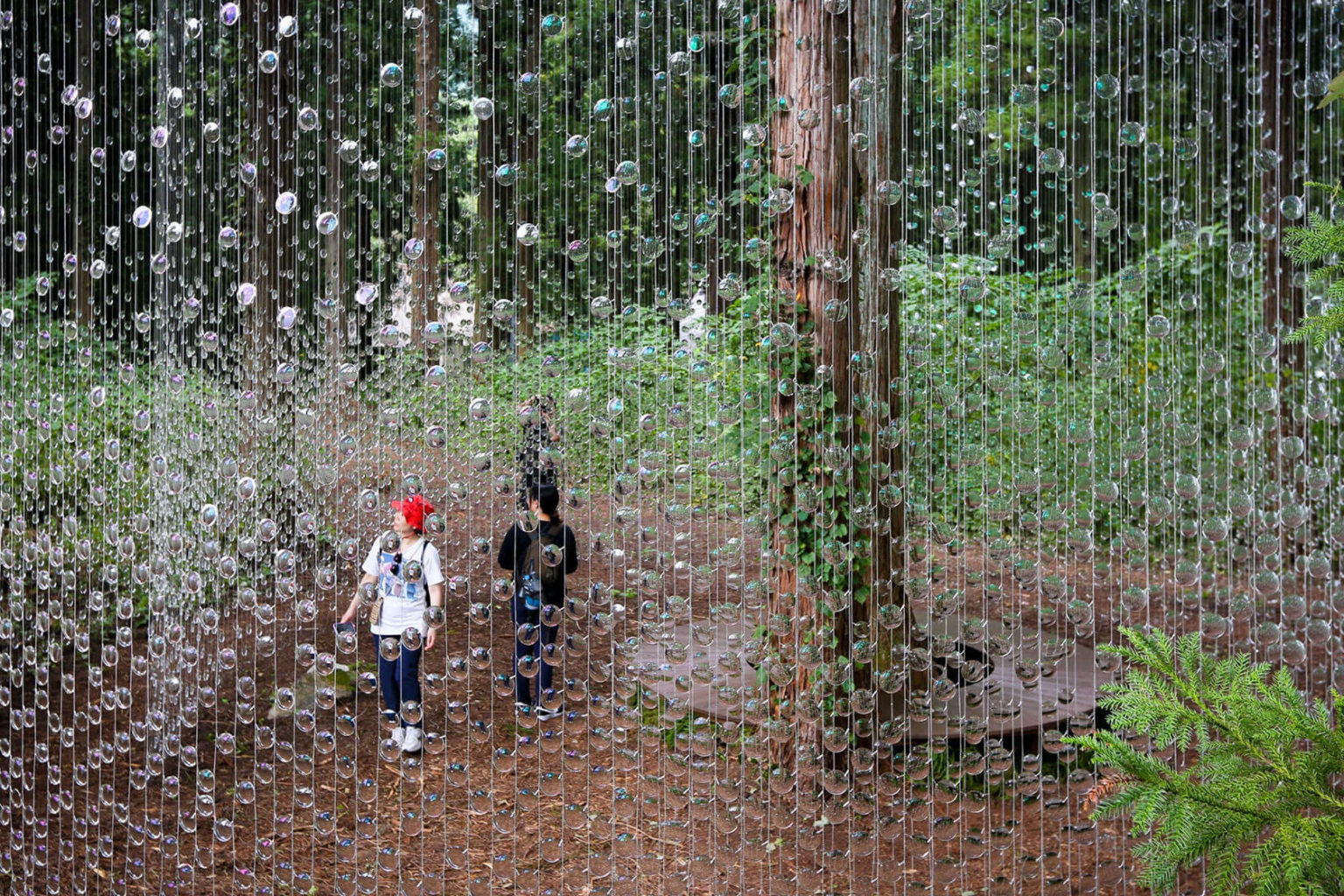 A Whisper in the Eye of the Storm: Artist Duo Creates An Immersive ...