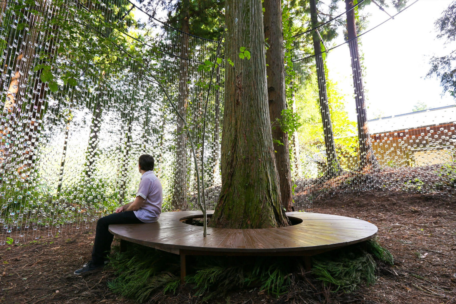 A Whisper in the Eye of the Storm: Artist Duo Creates An Immersive ...
