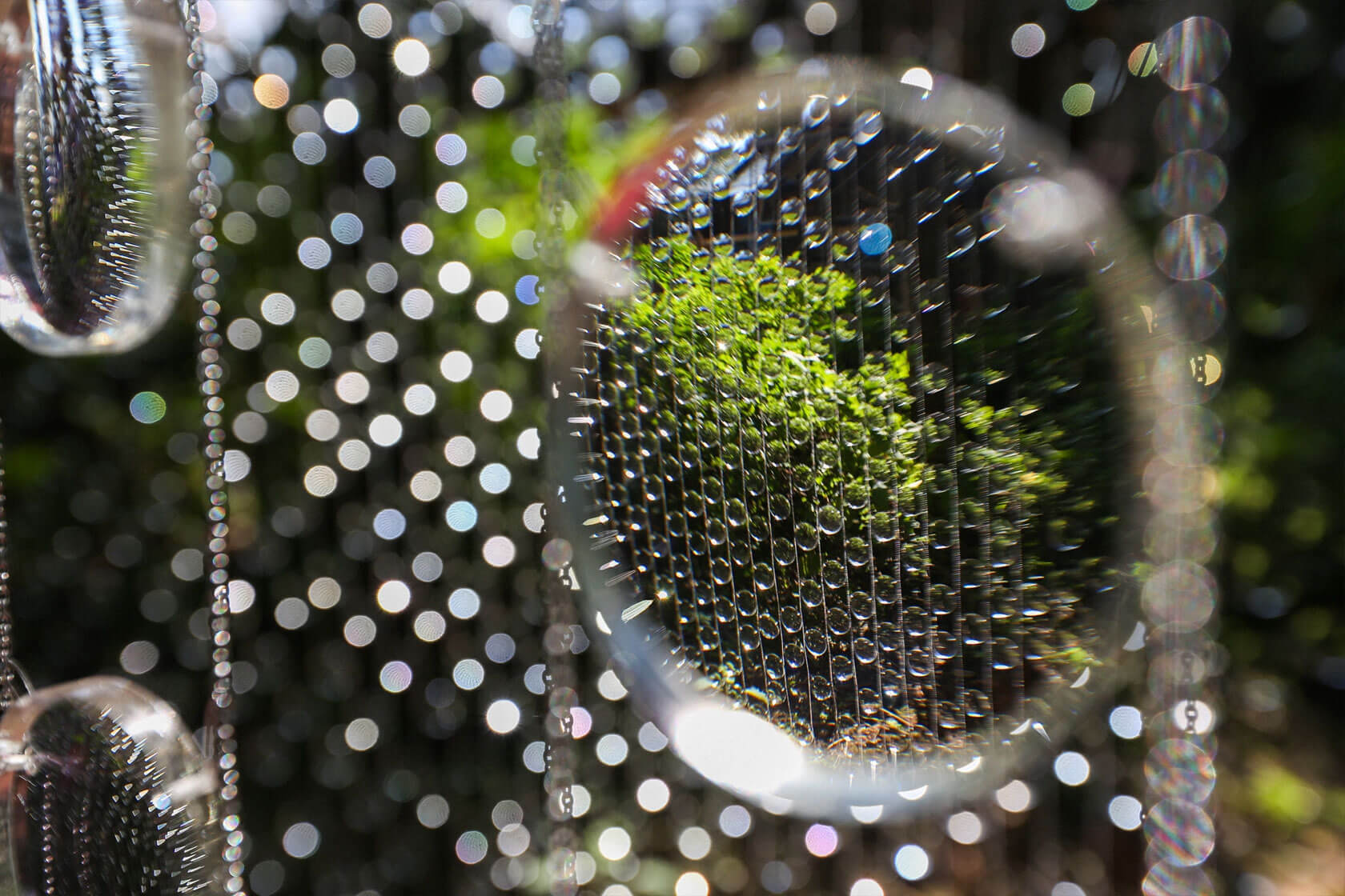 A Whisper in the Eye of the Storm: Artist Duo Creates An Immersive ...