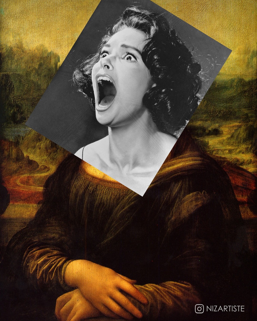 This Artist Creates Humorous Collages and Memes by Merging Classic and ...