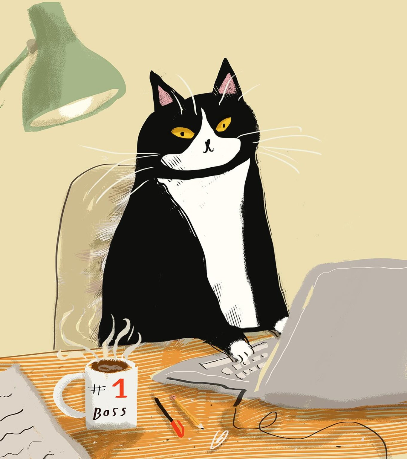 Jamie Shelman’s Funny Illustrations That Highlight Cats And Daily Life ...