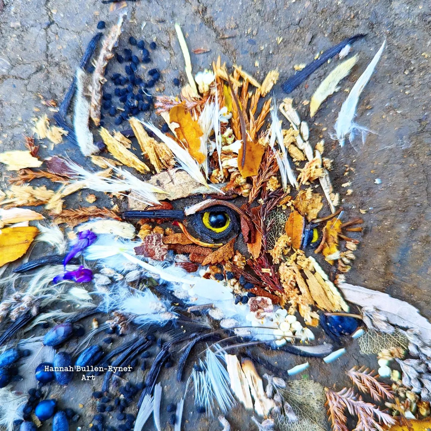 This Artist Works In Nature And Uses Only The Materials Available To ...