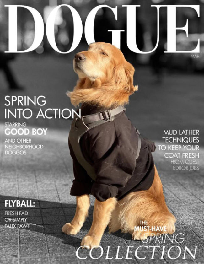 DOGUE: Playful Fashion Dog Parody of Vogue Magazine » Design You Trust ...