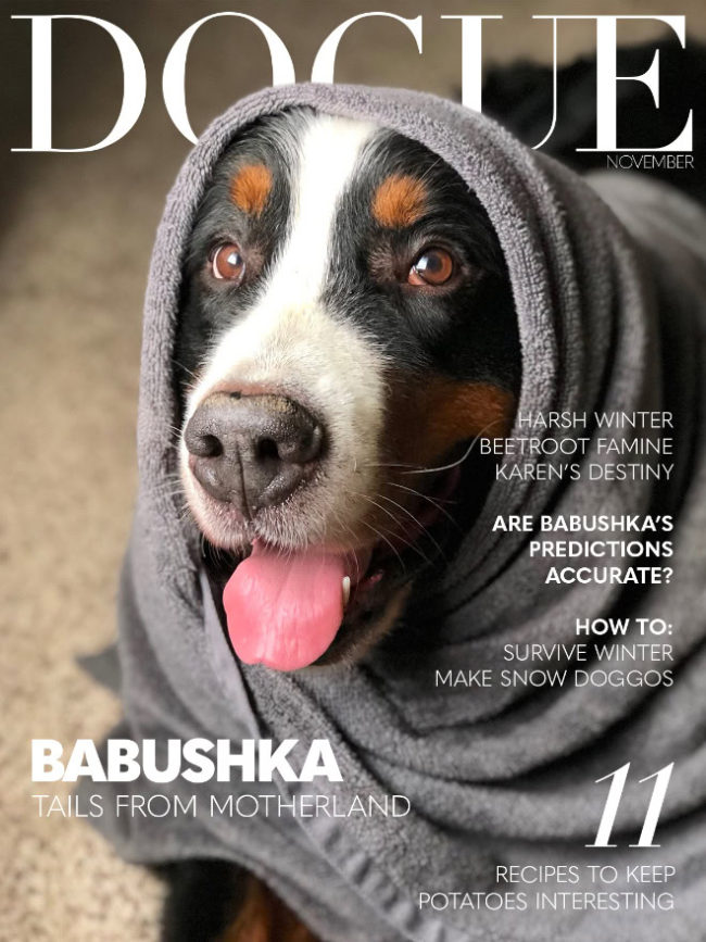 DOGUE: Playful Fashion Dog Parody of Vogue Magazine » Design You Trust ...