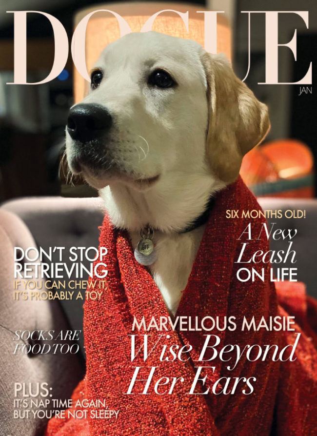 DOGUE: Playful Fashion Dog Parody of Vogue Magazine » Design You Trust ...