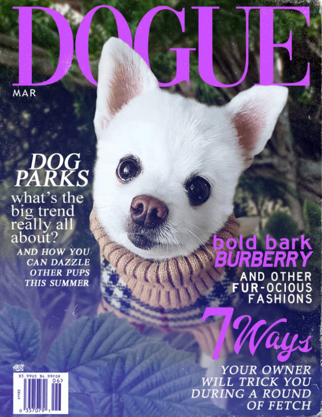 DOGUE: Playful Fashion Dog Parody of Vogue Magazine » Design You Trust ...