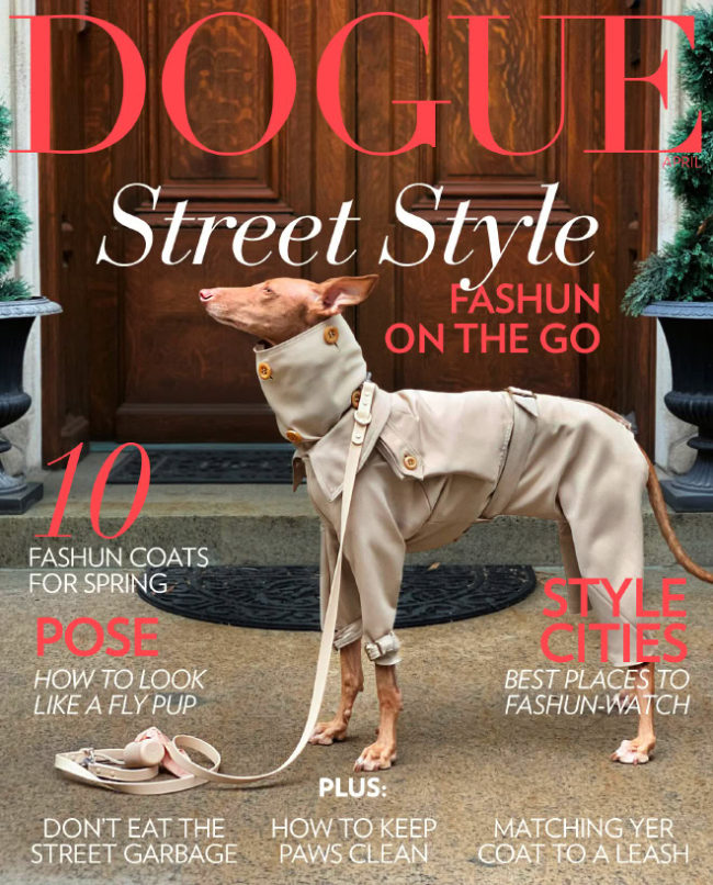 DOGUE: Playful Fashion Dog Parody of Vogue Magazine » Design You Trust ...