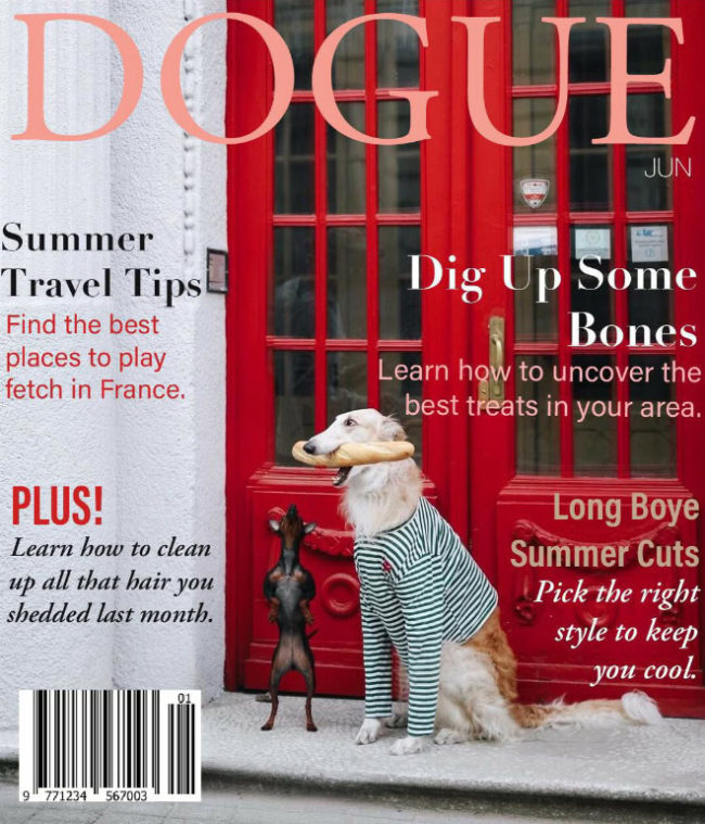 DOGUE: Playful Fashion Dog Parody of Vogue Magazine » Design You Trust ...