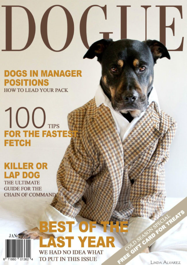 DOGUE: Playful Fashion Dog Parody of Vogue Magazine » Design You Trust ...