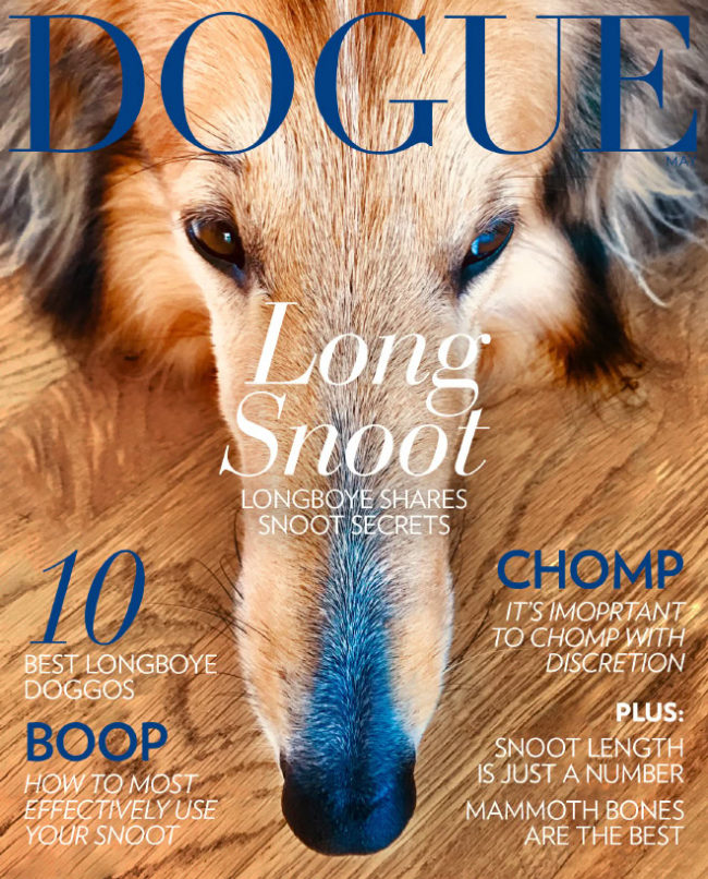 DOGUE: Playful Fashion Dog Parody of Vogue Magazine » Design You Trust ...