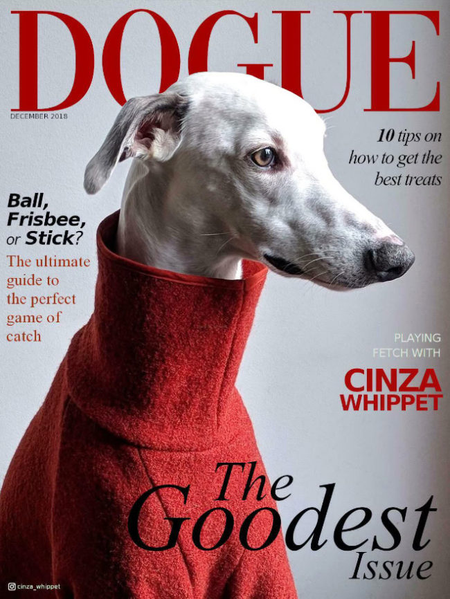 DOGUE: Playful Fashion Dog Parody of Vogue Magazine » Design You Trust ...