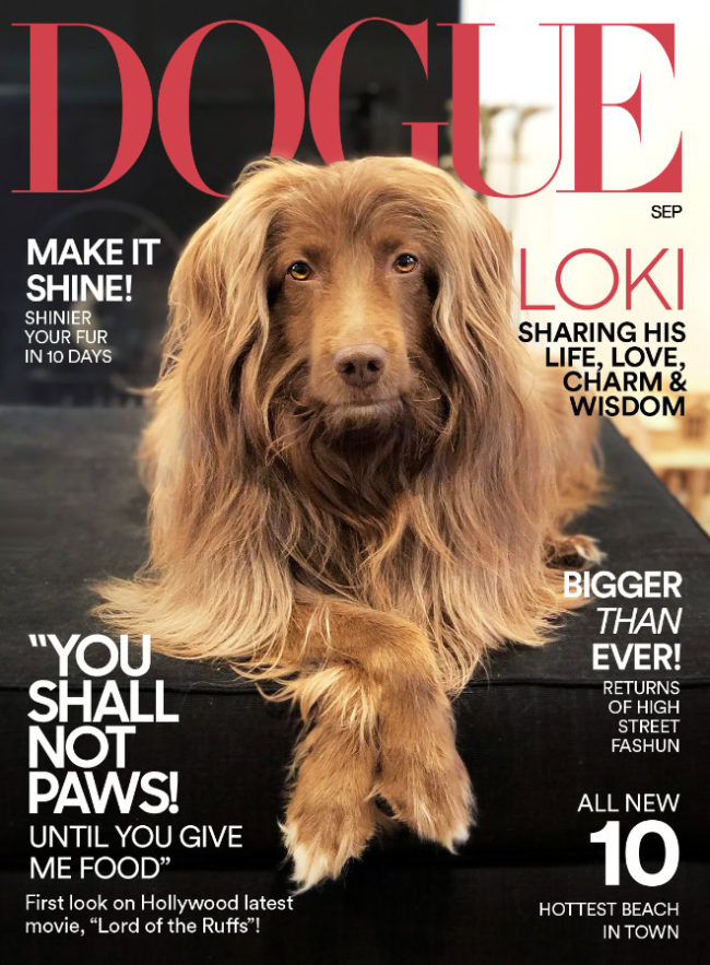 DOGUE: Playful Fashion Dog Parody of Vogue Magazine » Design You Trust ...