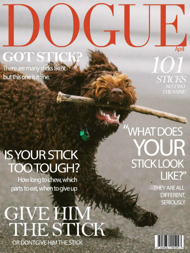 DOGUE: Playful Fashion Dog Parody of Vogue Magazine » Design You Trust ...
