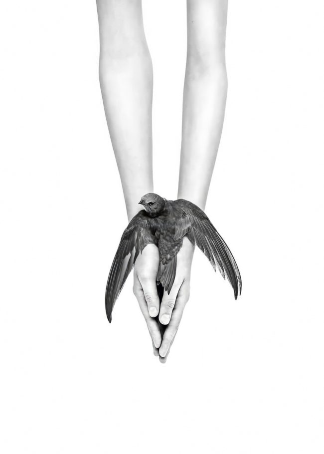 Spectacular Winning Nature Photos from the 2024 International Photo ...