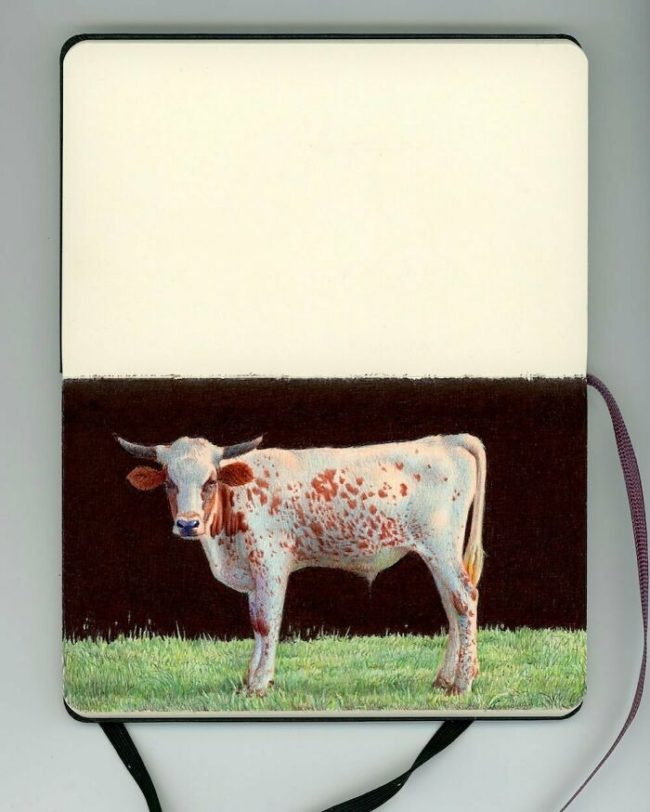 This Artist Used A Sketchbook And Pen To Create Amazing Detailed ...