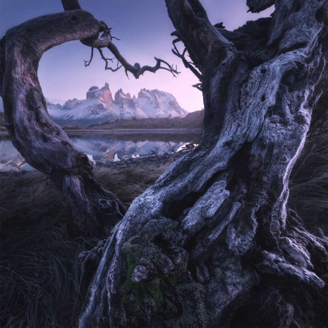 Magnificent Landscape-Winning Photos from the 35 Photography Awards ...