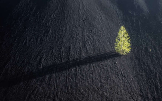 Magnificent Landscape-Winning Photos from the 35 Photography Awards ...