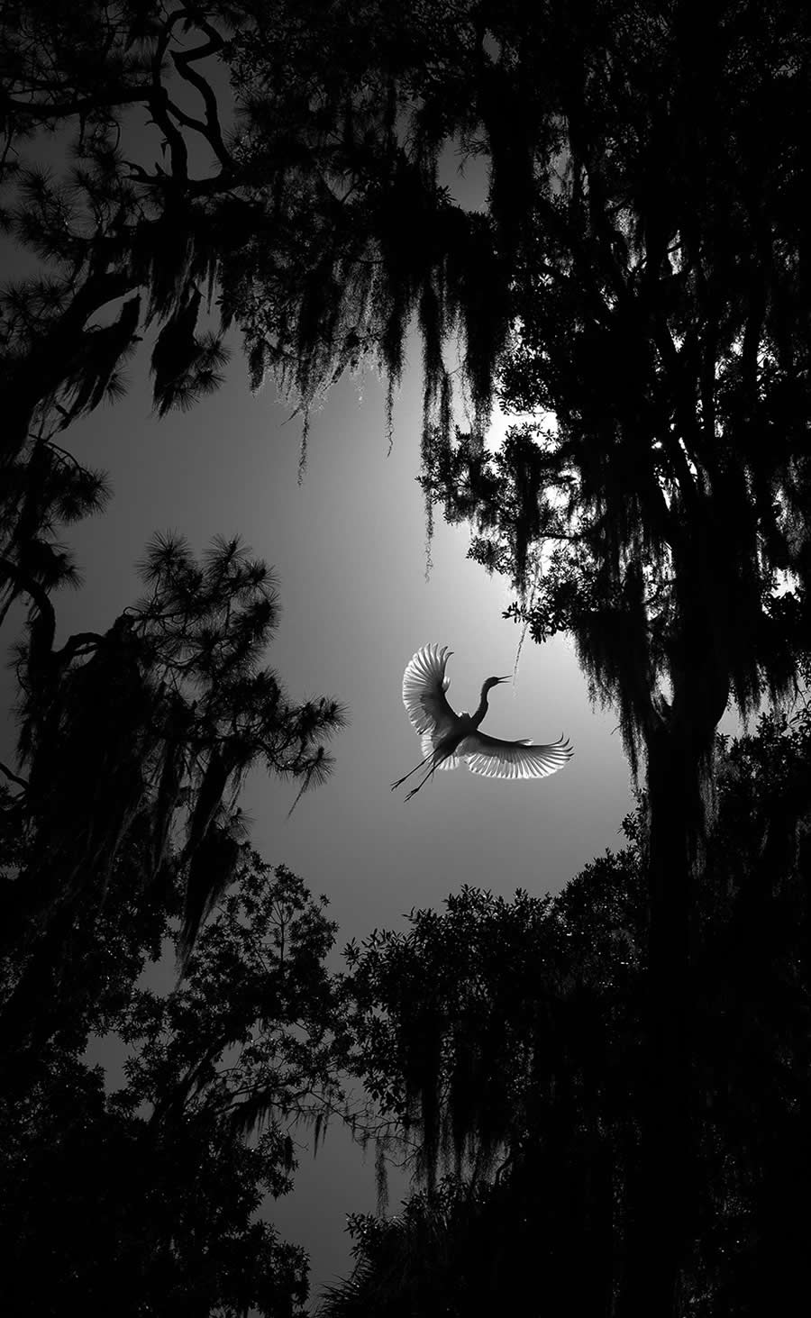 Spectacular Award Winning Black And White Photos From The 2025 ReFocus