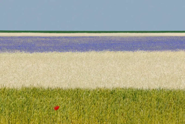 Spectacular Winning Photographs from the 2025 Minimalist Photography ...