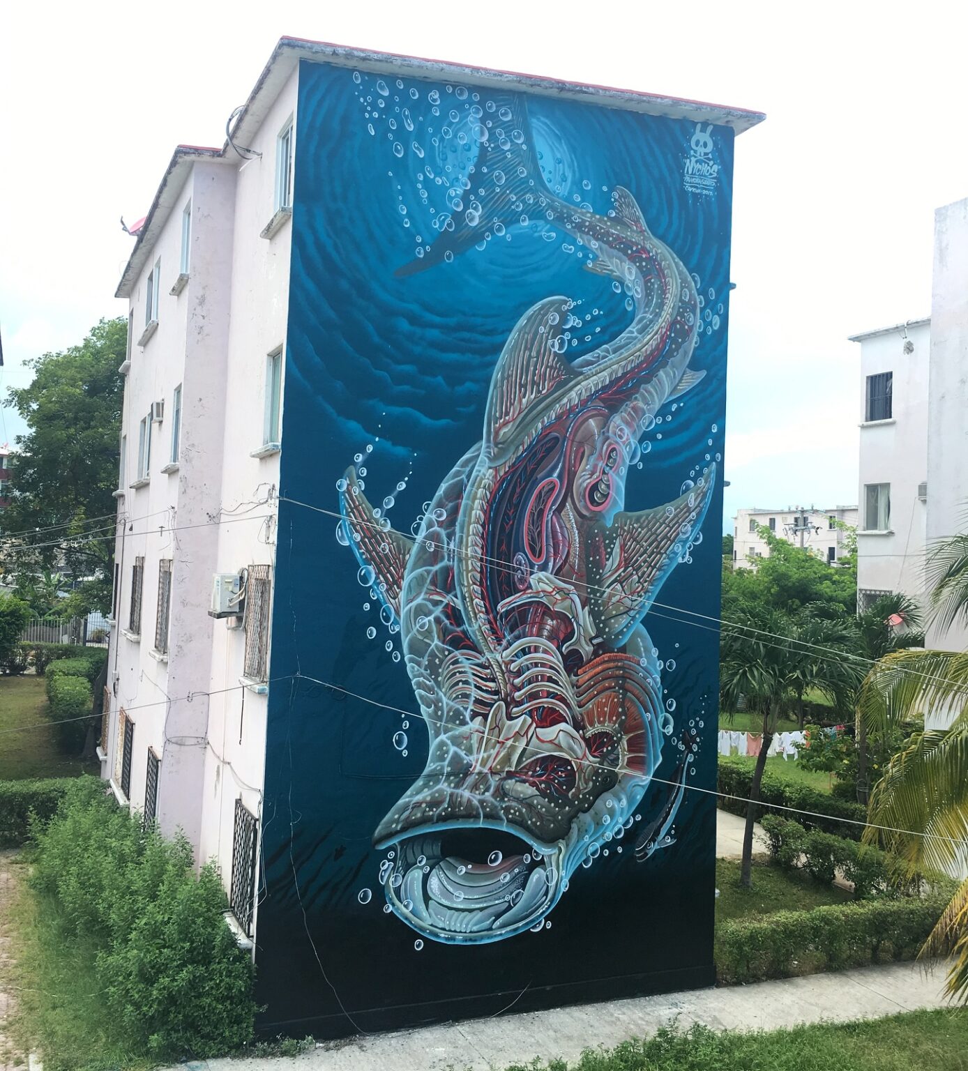 Artist Creates Giant Anatomical Murals With Dissected Humans, Animals ...