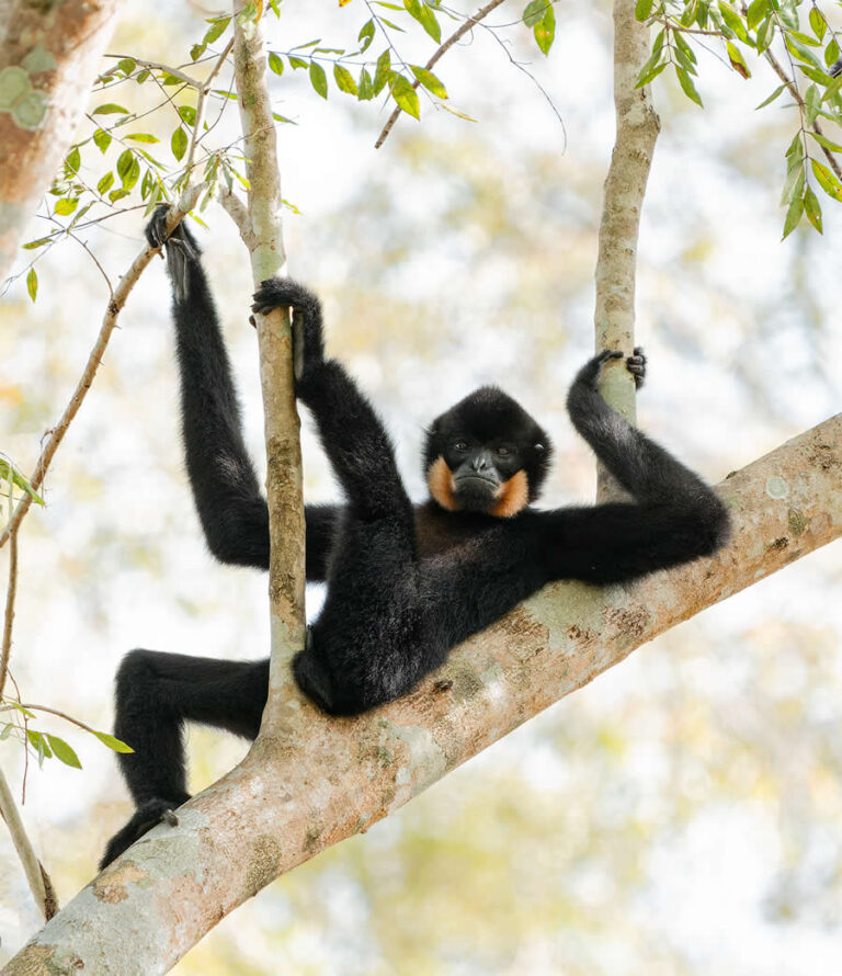 Hilarious Photos from the 2025 Comedy Wildlife Photography People’s ...