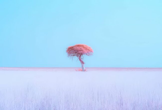 Beautiful Landscape Winning Photos from the 2025 Minimalist Photography ...
