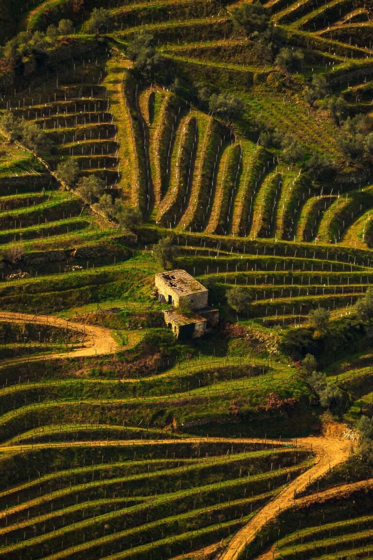 Enchanting Landscape Winners of the 2025 Refocus Photographer of the ...