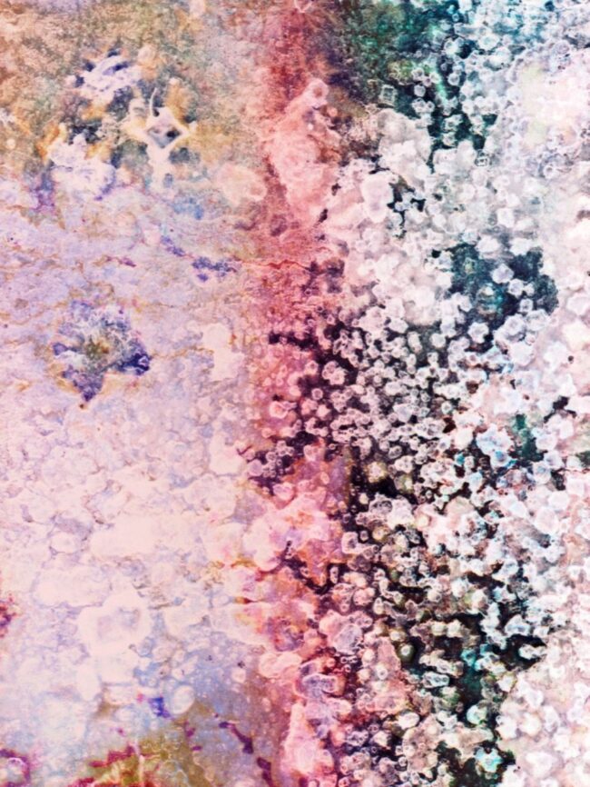 Elliott Hart Turns Experimental Photography Into A Private ...
